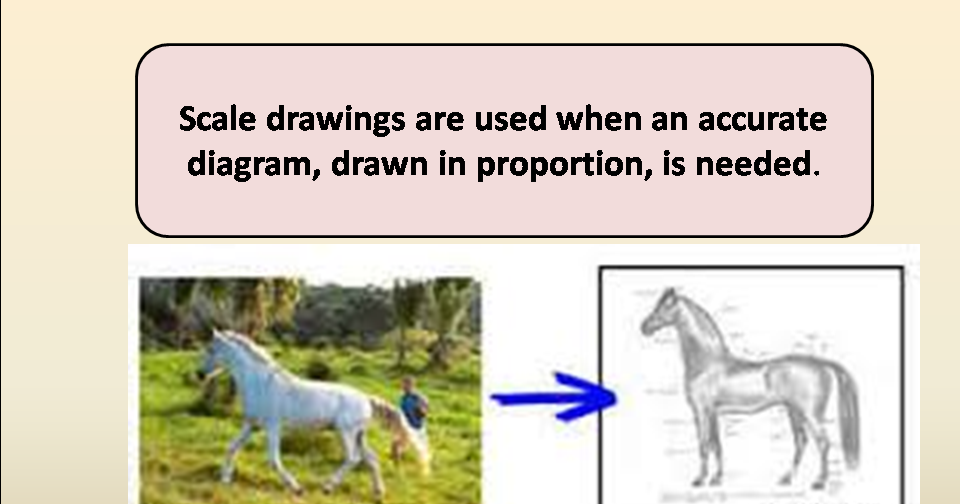 Math 9: CHAPTER 4: SCALE DRAWINGS