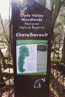 Walking, Hiking & Running in Scotland: Chatelherault - Green Bridge Trail