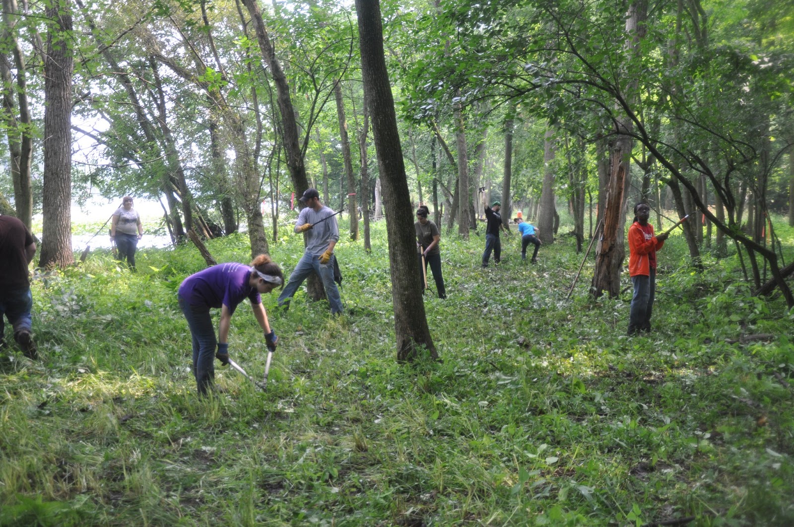 Fort St. Joseph Archaeological Project: A Rainy Day at Lyne