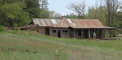 What's Up with Ellis: Apache Maid Lookout and T-Bar Ranch