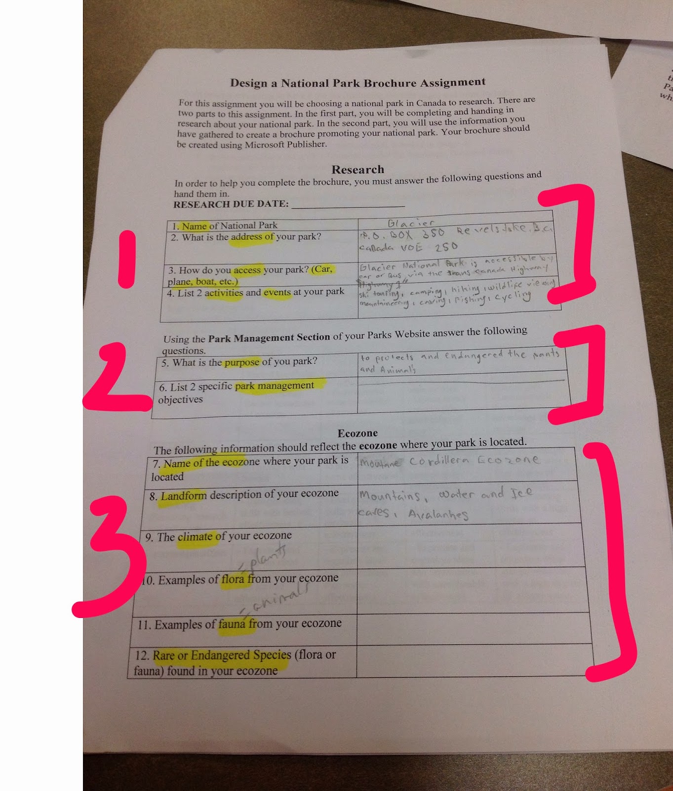 Barbara McVeigh: 2013