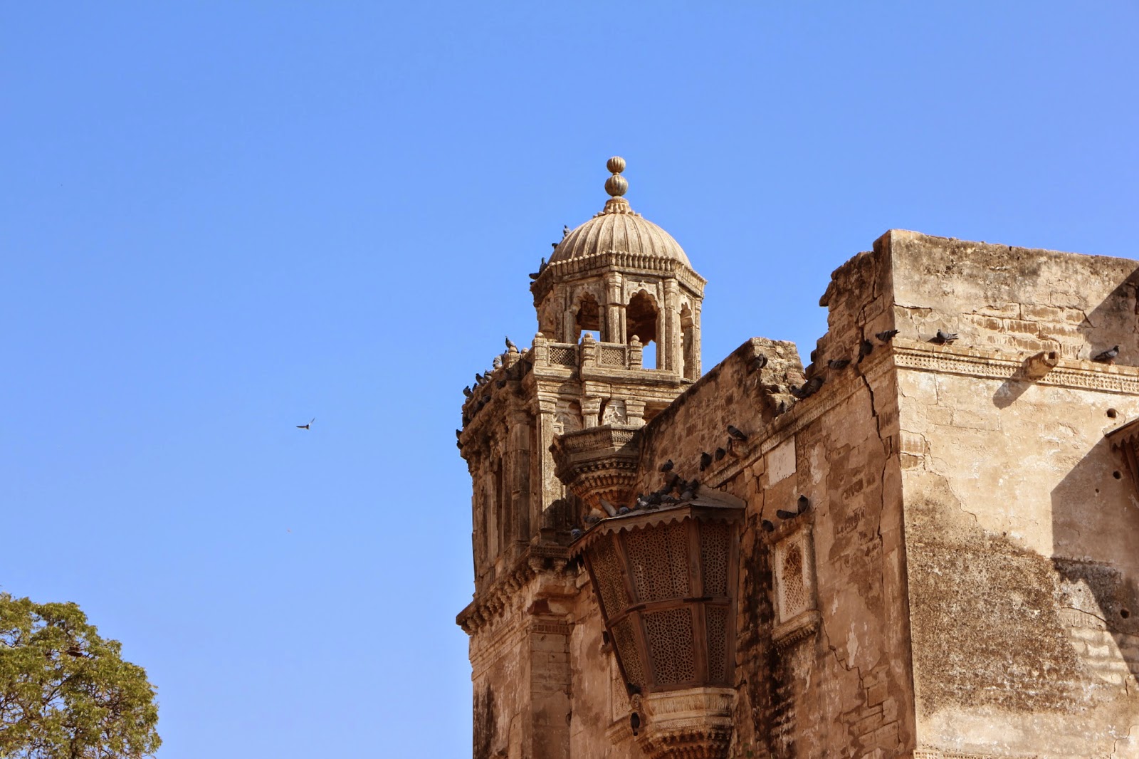 My World: Kutch Diaries - The Fortified Palaces of Bhuj