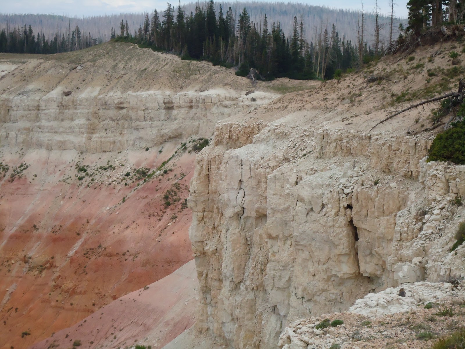Peg in the Park: Cedar Breaks National Monument