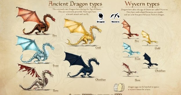 Ideaz : What is the difference between Dragons, Wyverns, Drakes, Wyrms ...