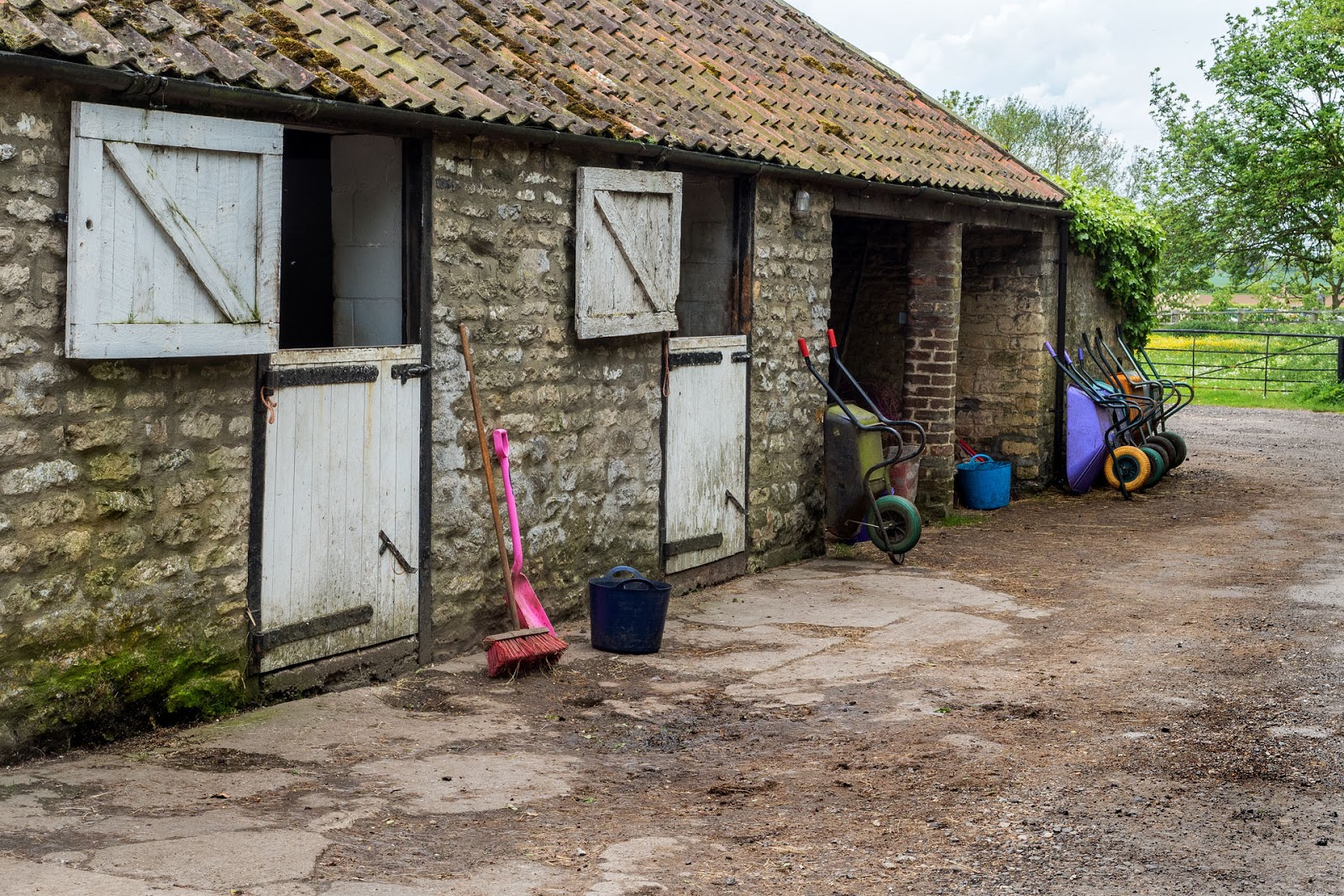 Lincolnshire Cam: Rednil Stud, Welton.