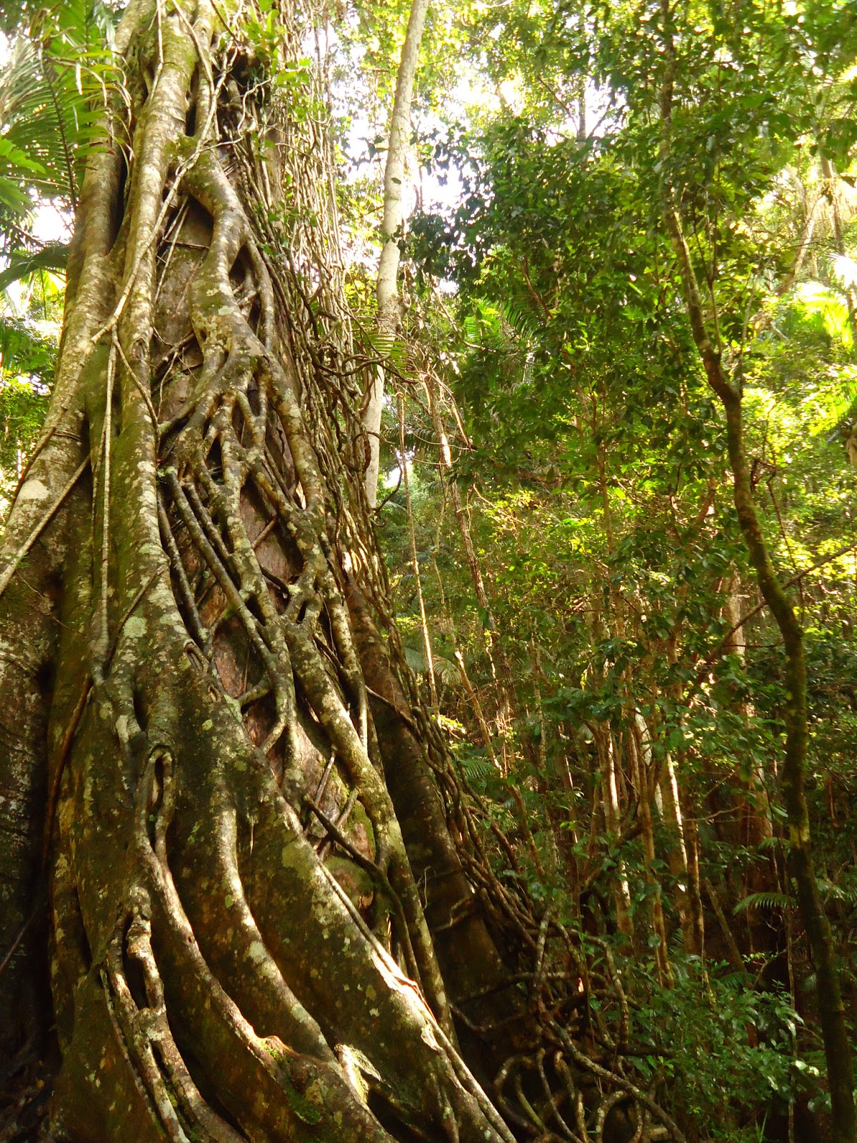 Linda & Annemie Down Under