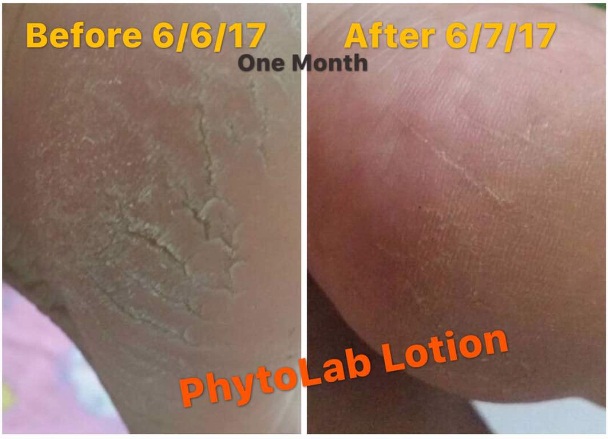 PHHP Phyto Products Help You to Lead a Happy and Beautiful Life!: PHHP ...