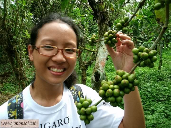 Mariang Sinukuan Files: A Gift to Nature: Figaro Tree Planting and Eco Tour