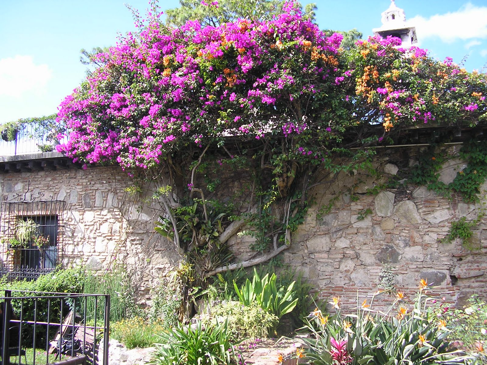 El telar de los sueños: La Tatuana