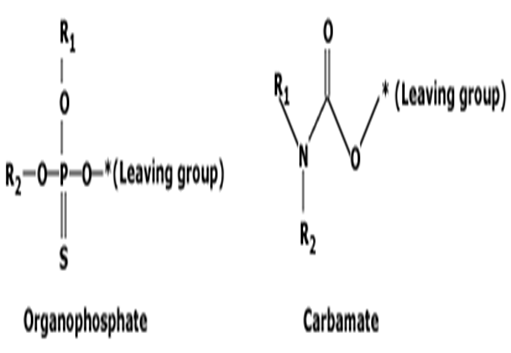 yuan's !nk: Poisoning Management (Drug, Organophosphate, Carbamat)