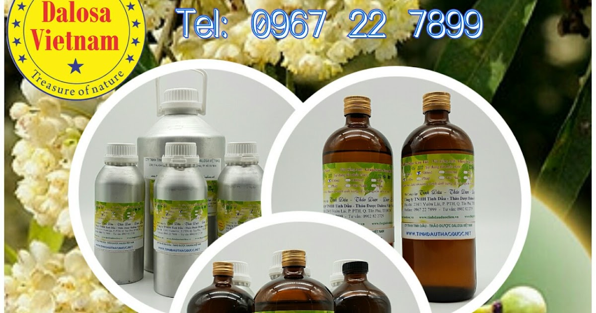 CÔNG TY TNHH TINH DẦU THẢO DƯỢC DALOSA VIỆT NAM: TINH DẦU MÀNG TANG ...