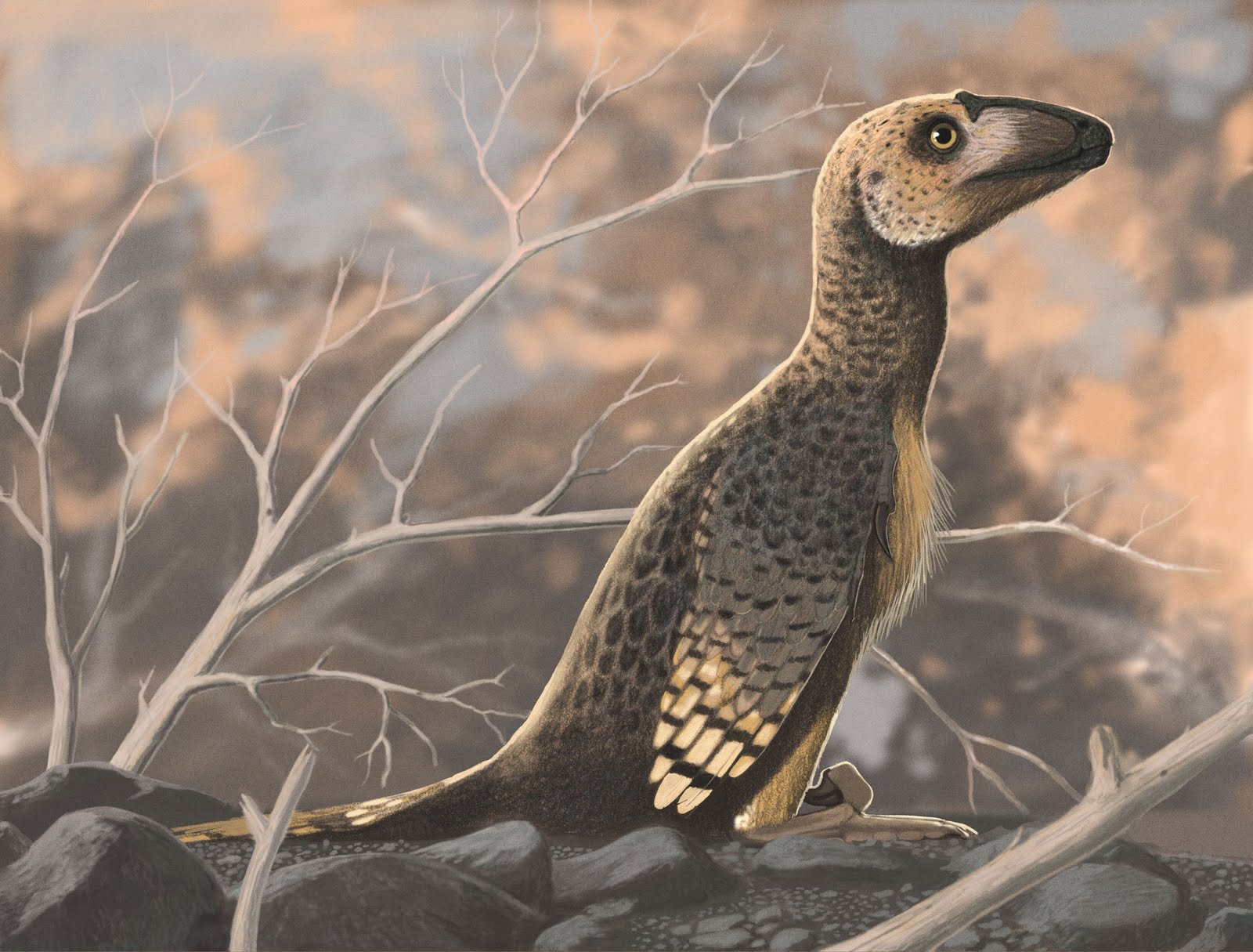 Favorite Dinosaur Reconstructions - Page 51 - The ZT2 Round Table