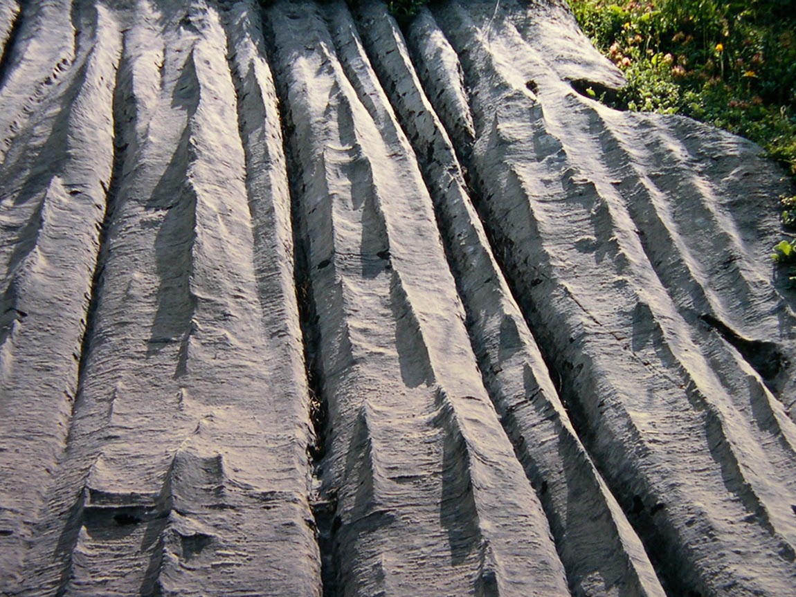 CURIOSIDADES CIENTÍFICAS : Lenares o Lapiaces