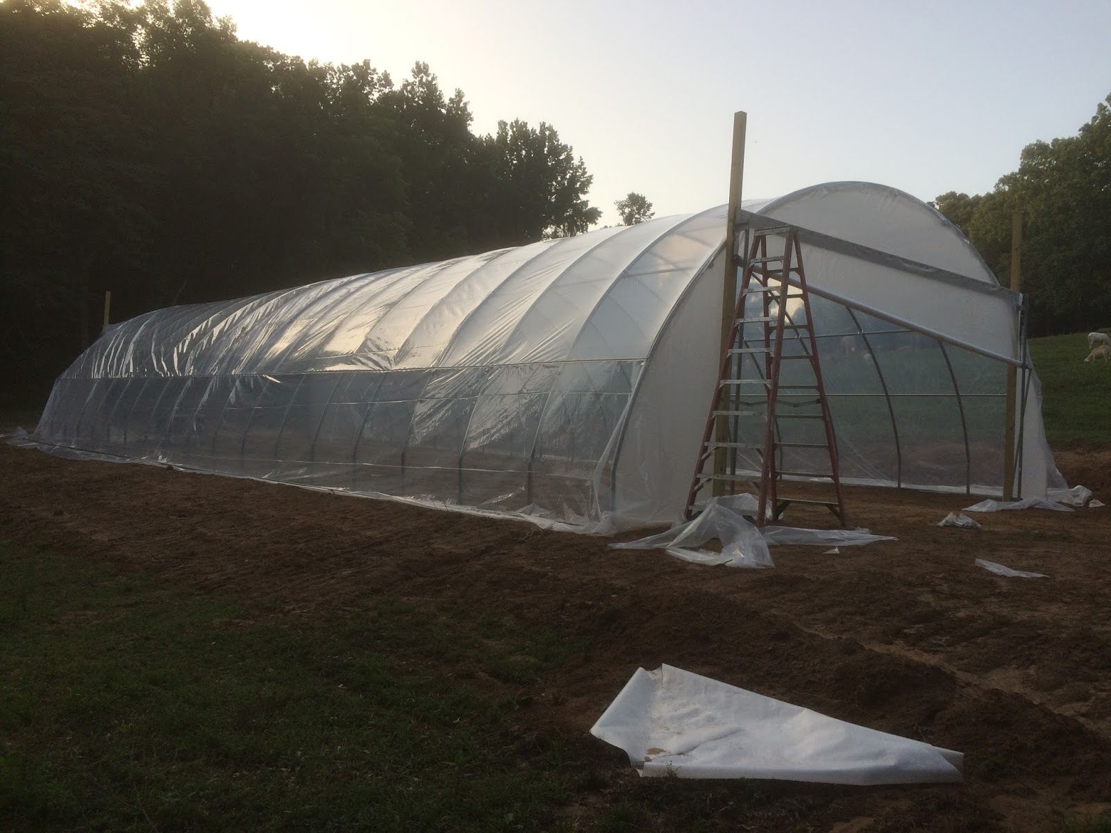 Smartinof4steve: Hoop House