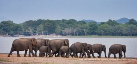 Kala Wewa and Yodha Ela (Jaya Ganga) – An irrigation wonder of Ancient ...