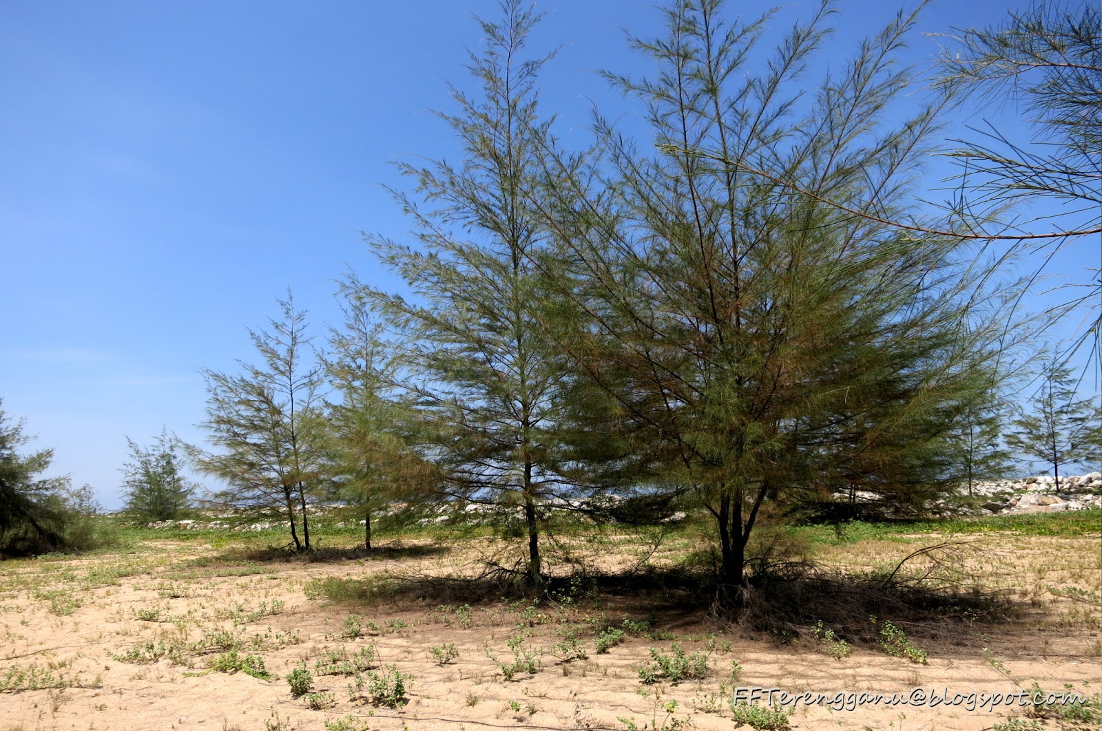 Jomm Terengganu Selalu...: Pantai Teluk Ketapang, Kuala Terengganu
