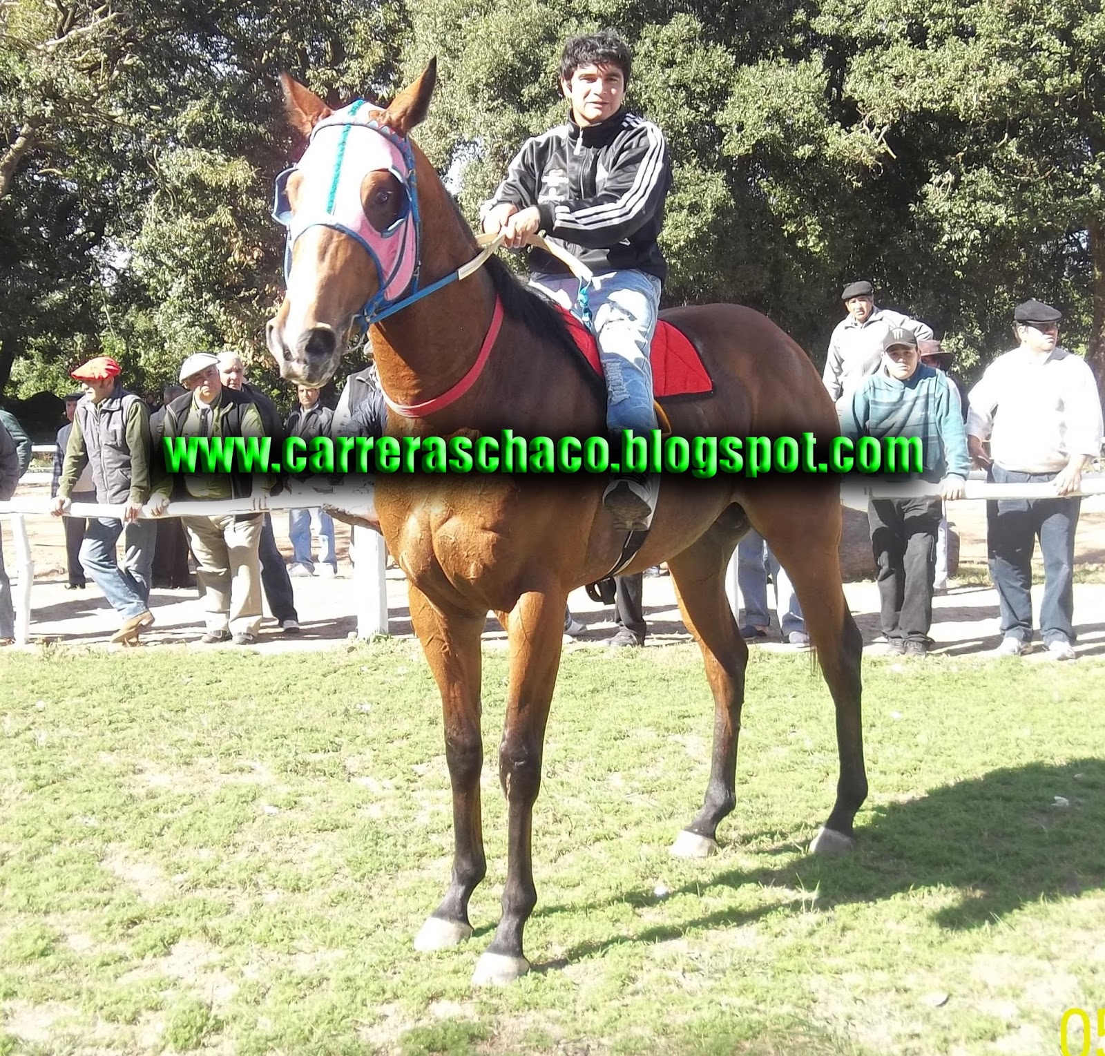 Carreras Chaco: SUCESOR,Destrono a CHE SANTO ARA 04/08/2013