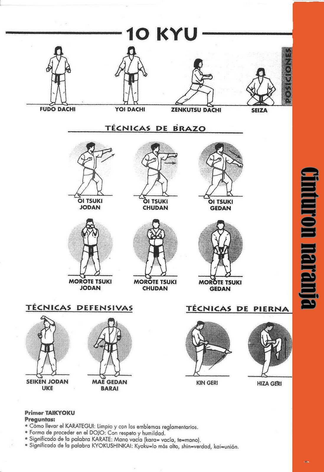 Pase de Grados Karate Kyokushin