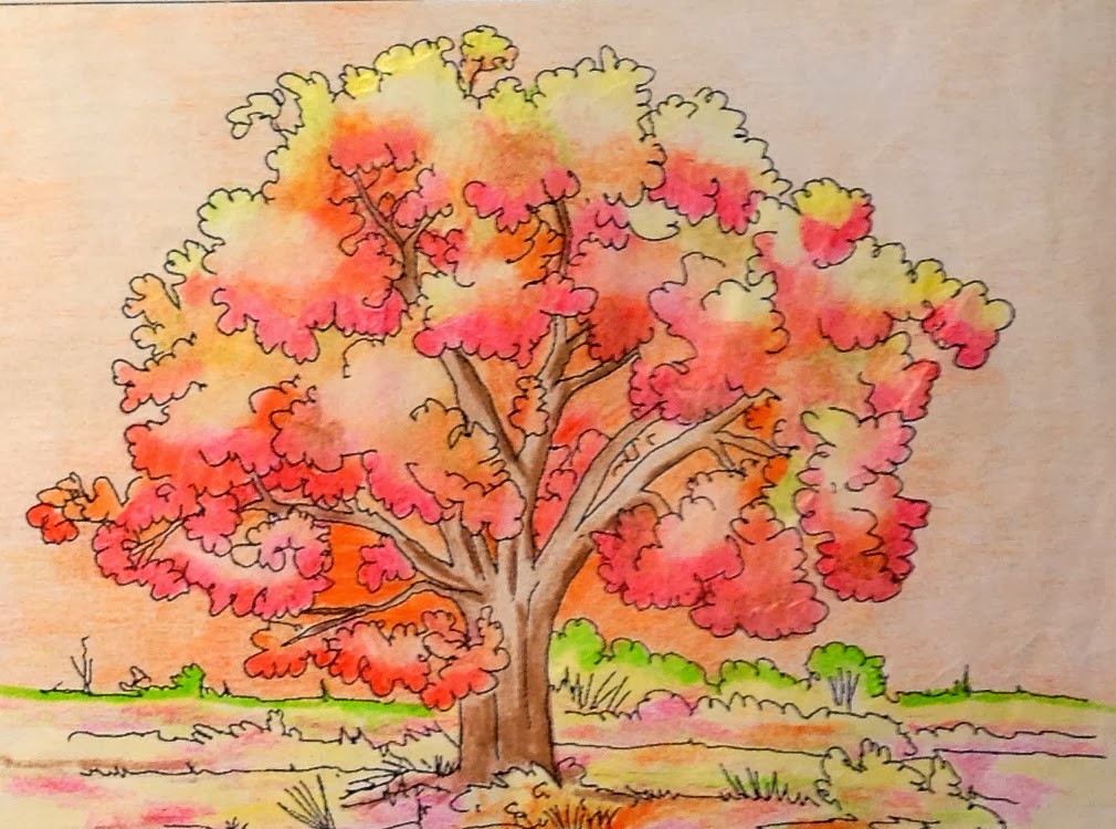 1º ESO : GAMAS CROMÁTICAS