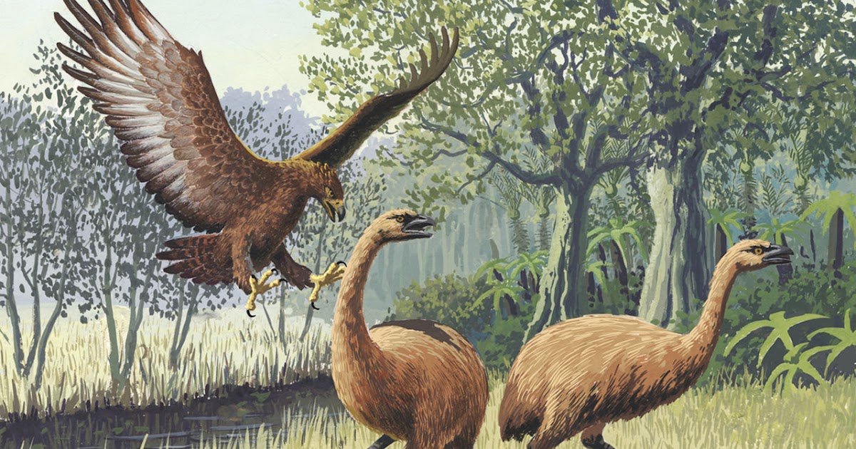 d20 Despot: Monster Monday: Dire Eagle, The Largest Bird of Prey