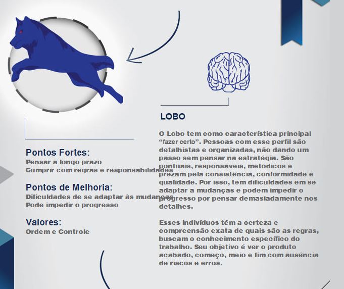 Coisas da Vanesca: Perfil Comportamental