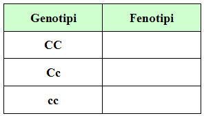 Esplorare Il DNA E Il Codice Genetico- Unità Di Apprendimento ...