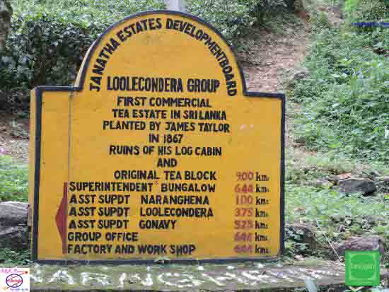 Lanka Pictures Page: James Taylor’s Loolkandura. The First Tea ...