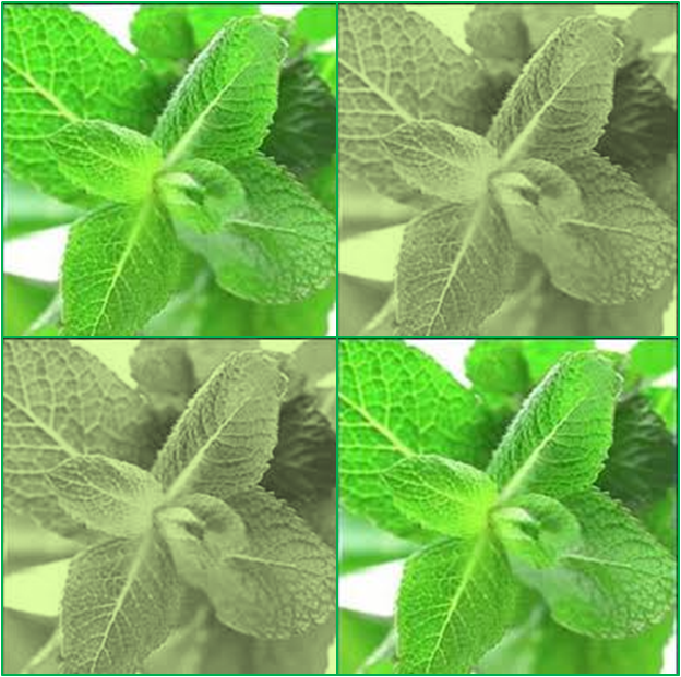 Quimicoisas!: Mentol