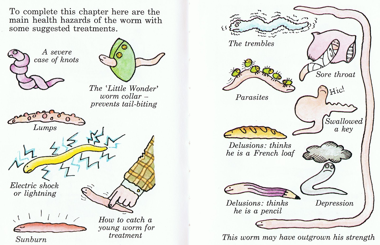 Little Library of Rescued Books: The Little Worm Book by Janet & Allan ...