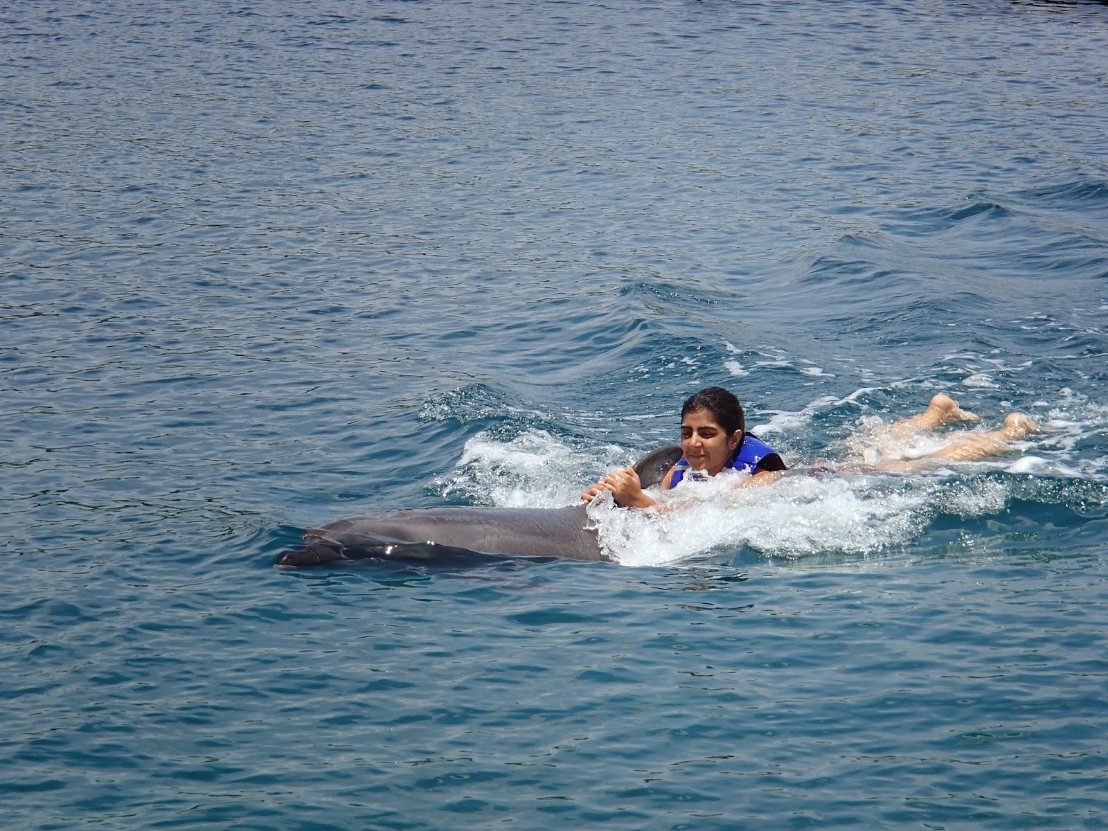 Travelling, Exploring and Getting Immersed @Philippines: Swim with ...