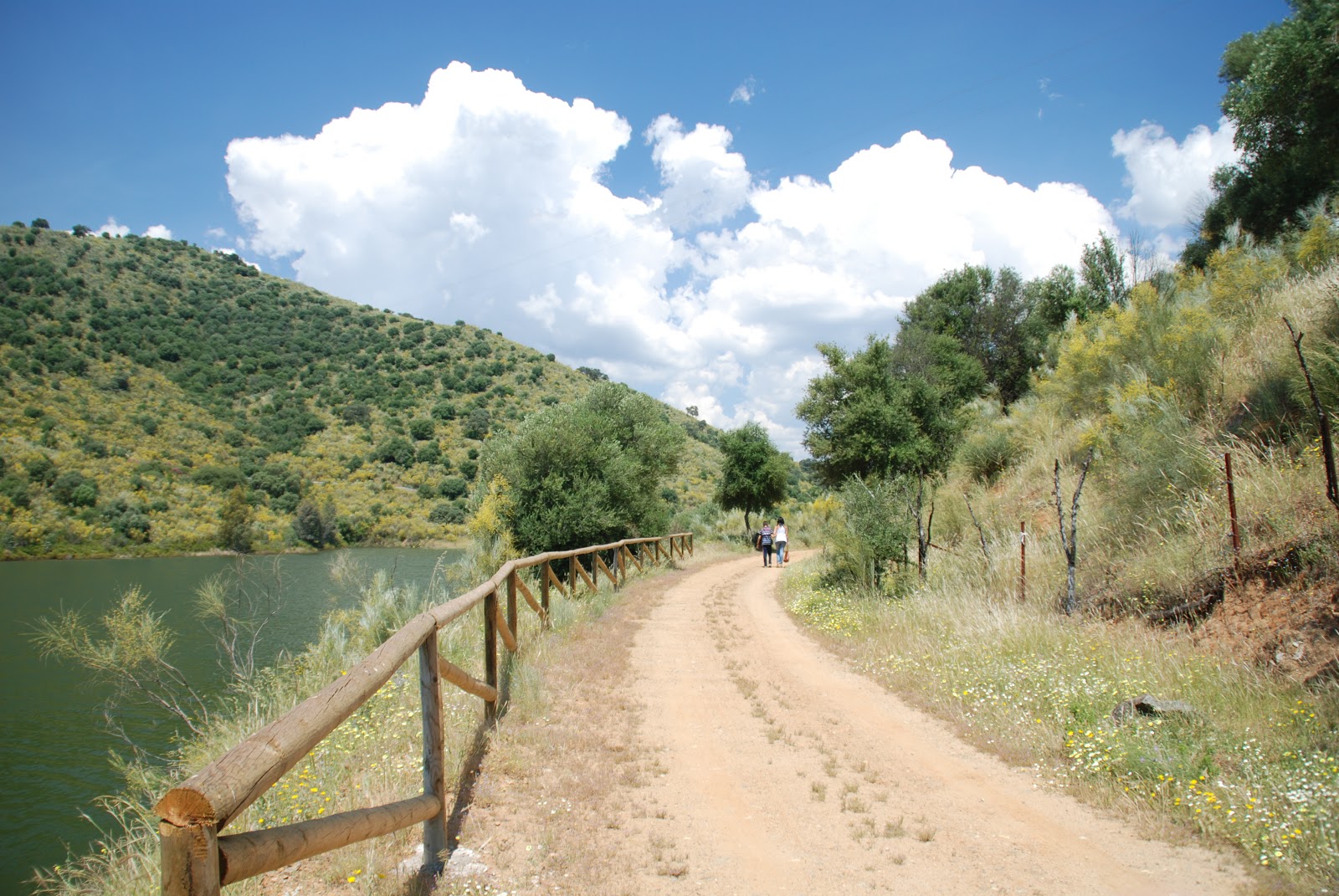 ¿A QUE ESTAN ESPERANDO EN EL RONQUILLO?