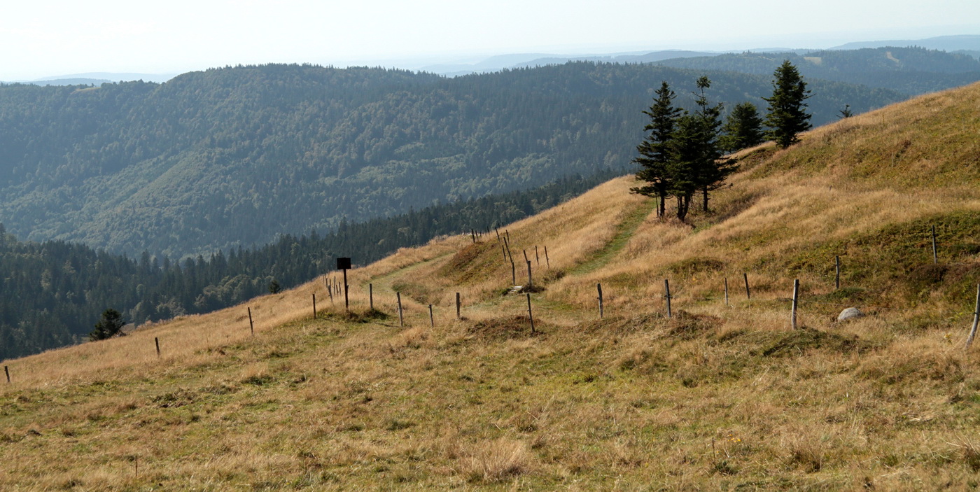 Balade au Hohneck 1
