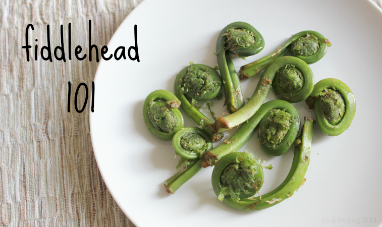 What the Fiddlehead?! | To & Fro