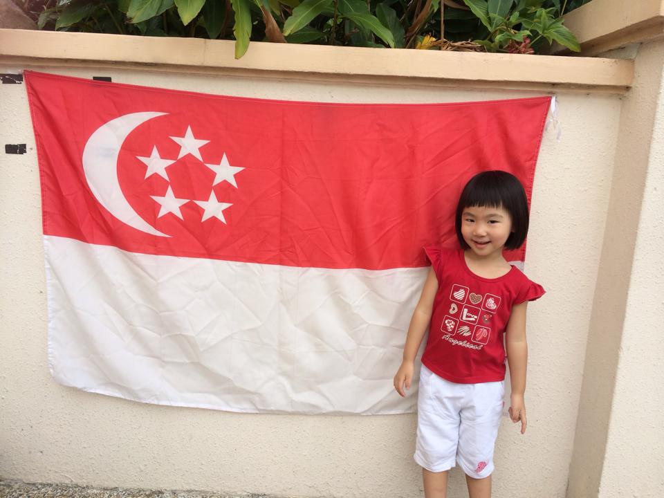 Raising Our Successful Children, Singapore Mom Blog: National Day Raising Our Successful Children, Singapore Mom Blog: National Day