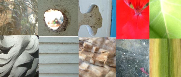 Share Our Garden!: Nature Patterns