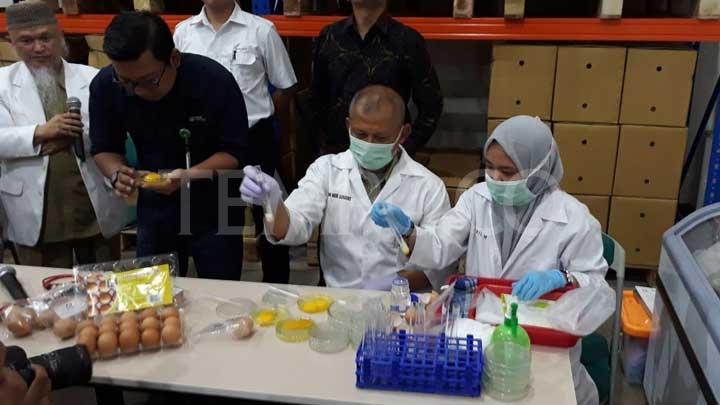 HOAX TELUR PALSU | SAHAM PEMENANG