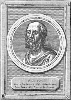 Animal Unique Beautiful: Pliny the Elder