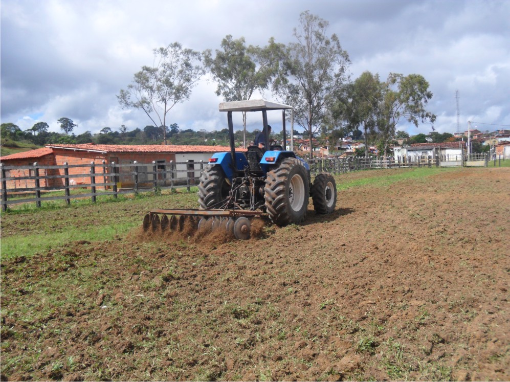 APUAREMA EM FOCO :::: APUAREMA: RODEIO RECEBE ARAGEM