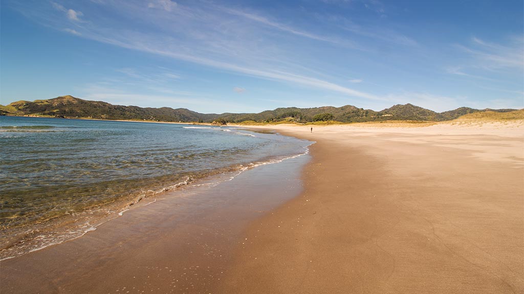 THE ROAD TAKEN : Trillium Lodge on Aotea/Great Barrier Island
