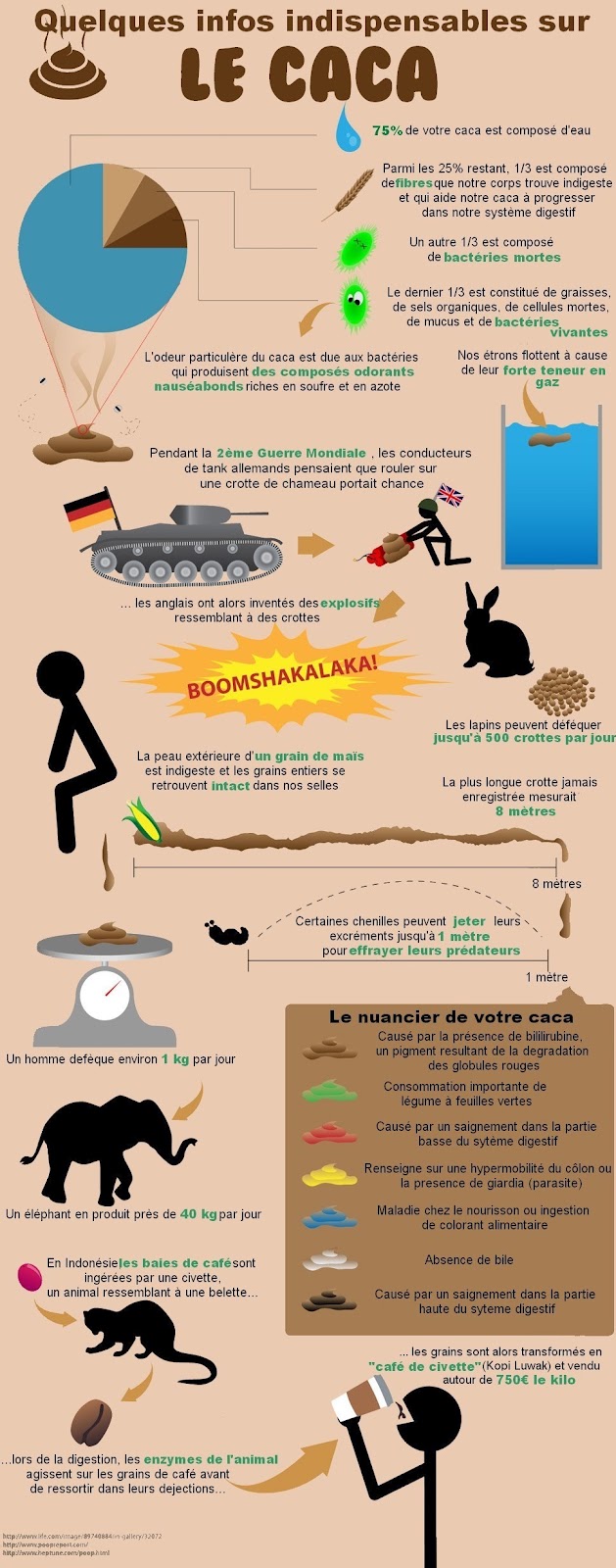 Tout savoir sur le caca ~ Général Kulture!