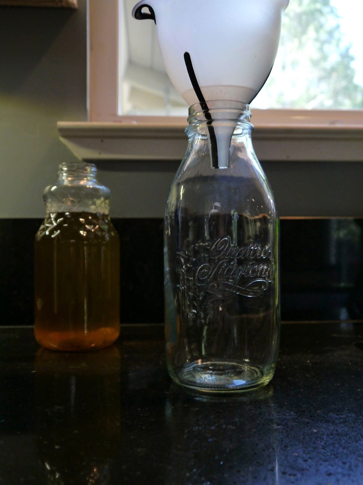 Fermentasi Kedua Air Kefir. | Ini Probiotik