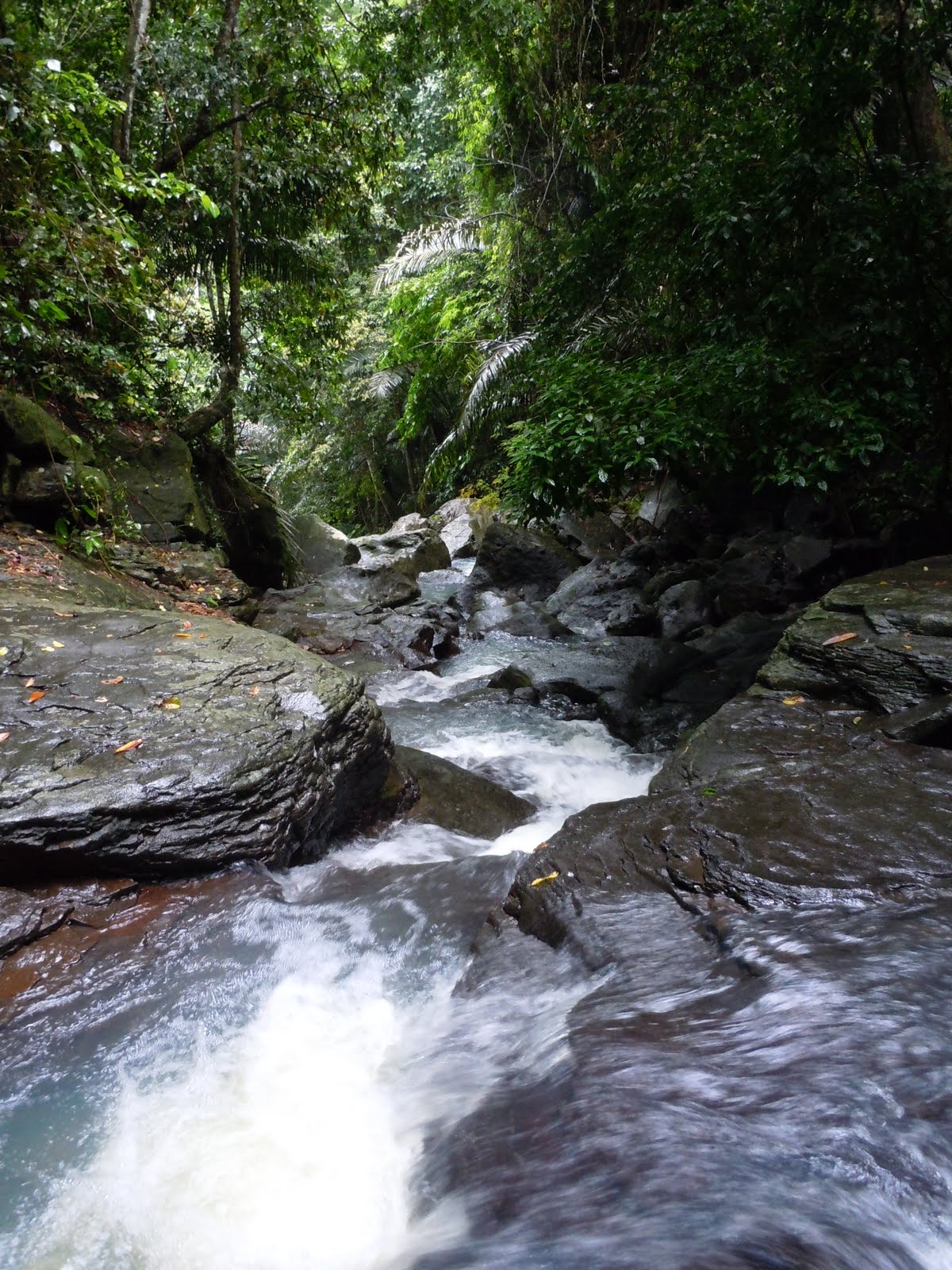 Fun in the Philippines: Flat Rocks!