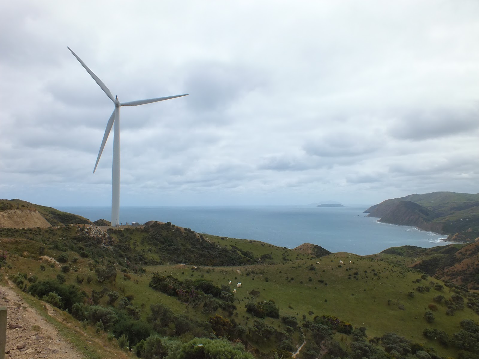 UK to New Zealand - The Brunts Big Move: Windmills of Wellington