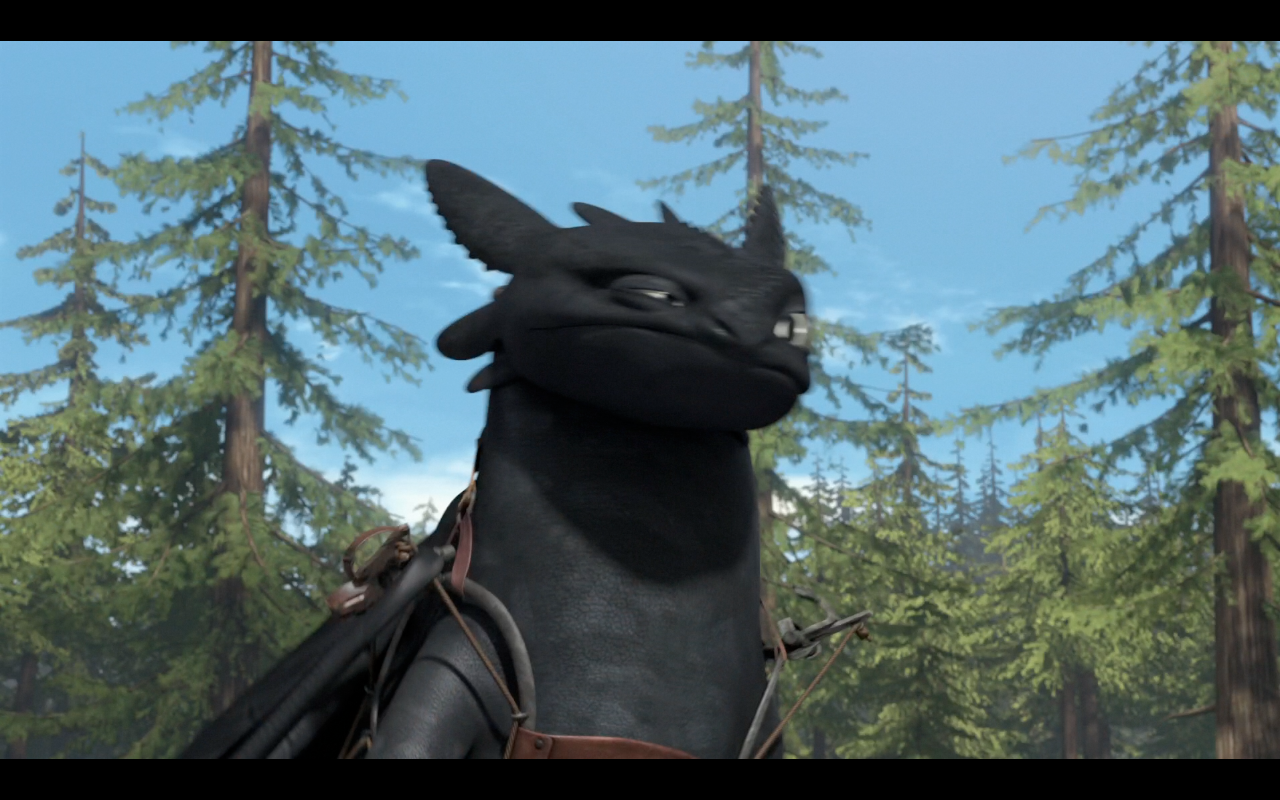 Toothless the Nightfury: These faces!!