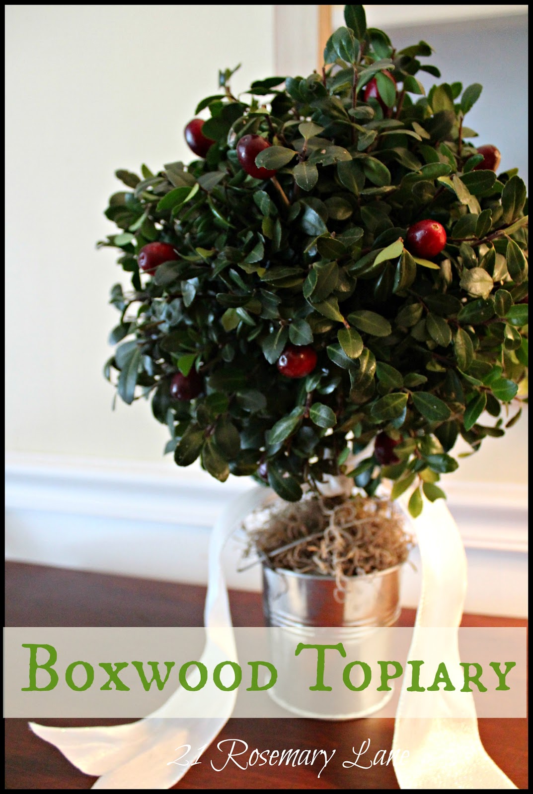 21 Rosemary Lane: Another Festive Topiary
