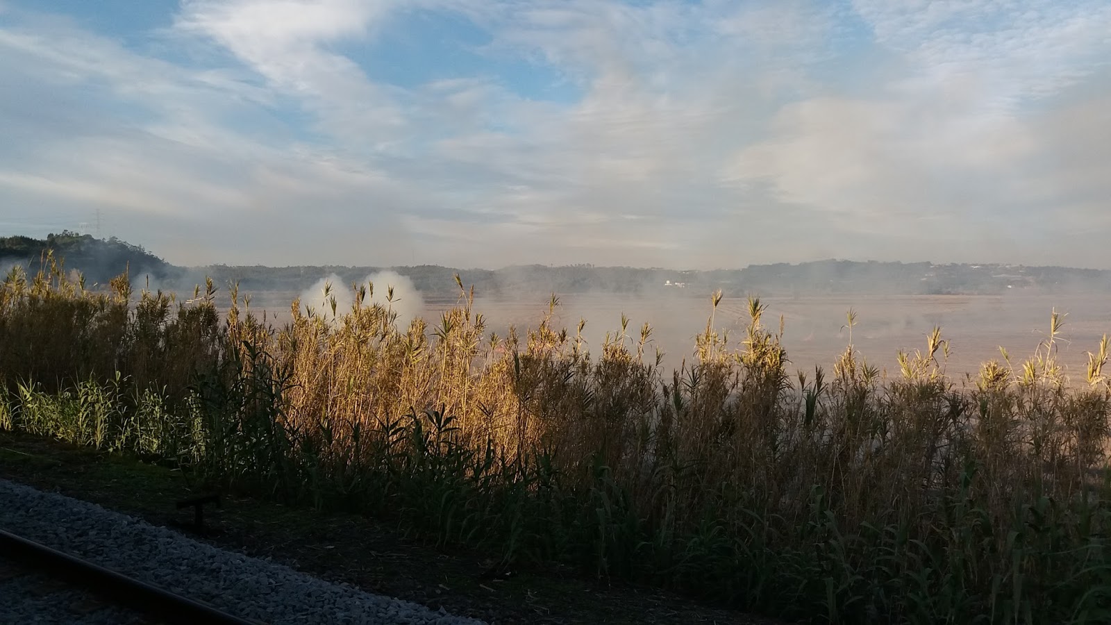 Chá de Limonete: dezembro 2017