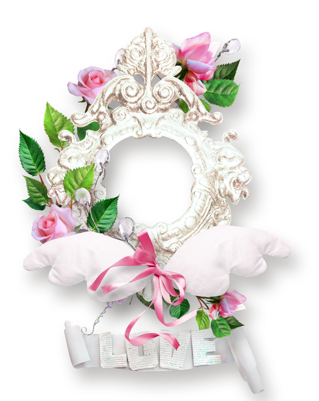 ForgetMeNot: pink roses cluster frames