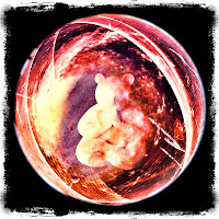 dreamstations: training