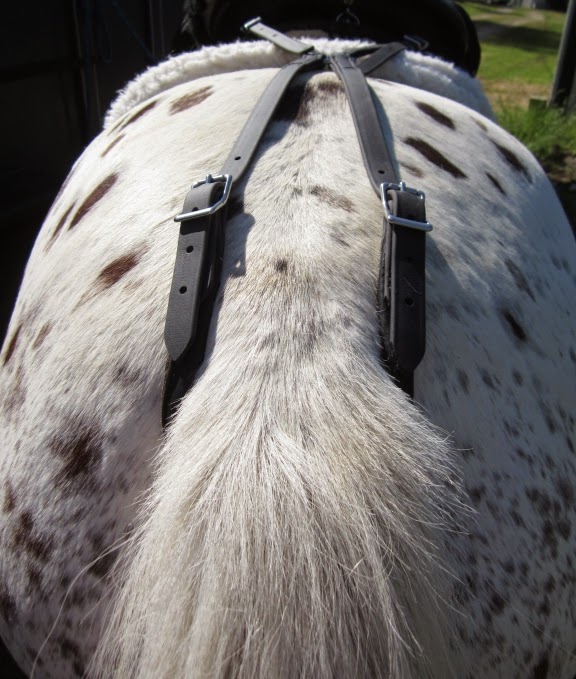 Endurance Granny: Fitting the Crupper from Two Horse Tack