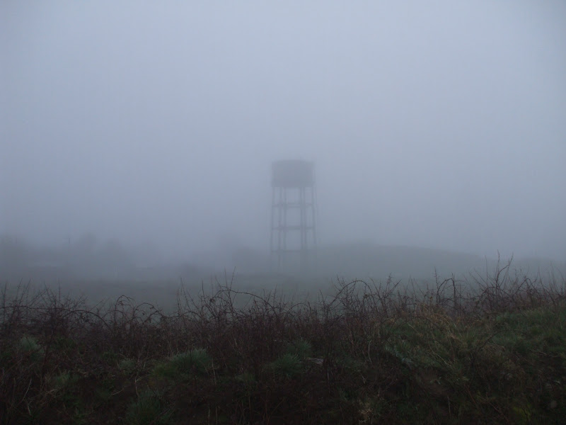 Sandy Lane, Pennard, Gower. Thoughts From My Heart